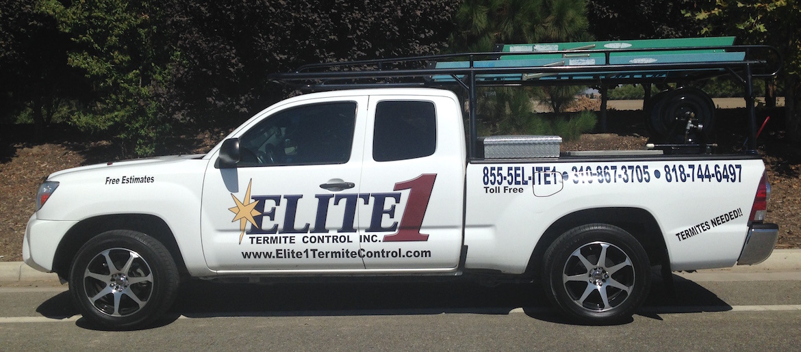 Termite Control for Los Angeles County - Elite1 Termite Control, Inc.